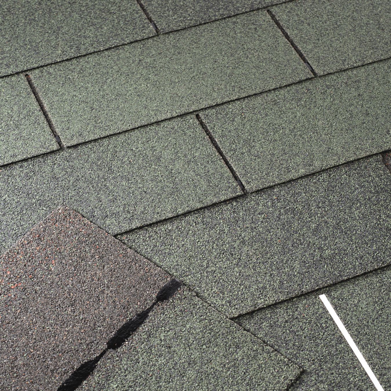 Shingles - Casa Armes